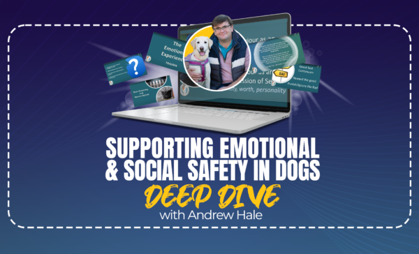 Supporting Emotional & Social Safety in Dogs | Dog Training College